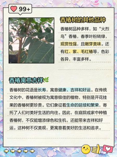 椿树最吉利的种植方位_椿树风水禁忌有哪些-第1张图片-山城妙识