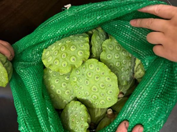 莲蓬壳的功效与作用_莲蓬壳煮水有什么功效-第2张图片-山城妙识