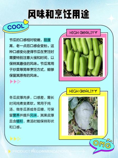 节瓜怎么种_节瓜和冬瓜的区别-第1张图片-山城妙识