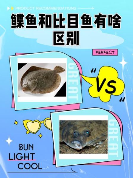 鲽鱼长什么样_鲽鱼外形特征图解-第1张图片-山城妙识