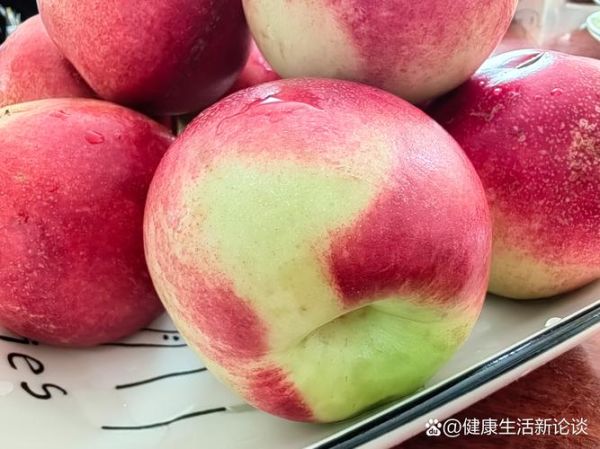 蜜枣桃产地在哪里_蜜枣桃是哪里的特产-第2张图片-山城妙识