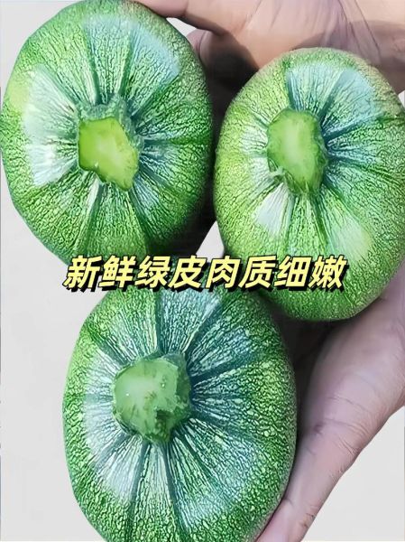 云南小瓜怎么炒好吃_云南小瓜和云南小南瓜区别-第3张图片-山城妙识