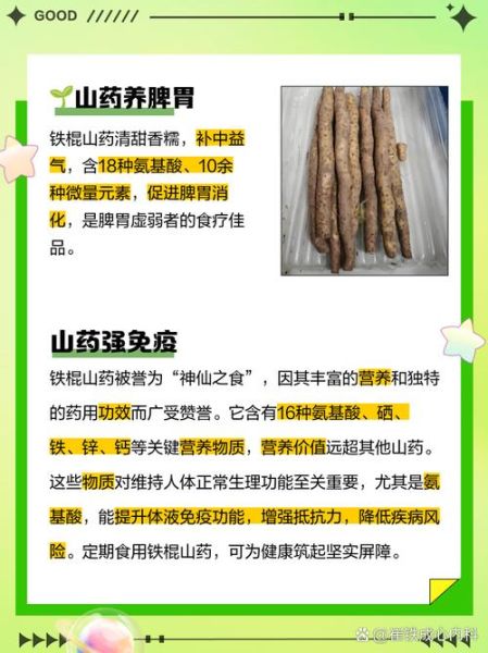 铁棍山药为什么不能吃_铁棍山药哪些人不能吃-第1张图片-山城妙识