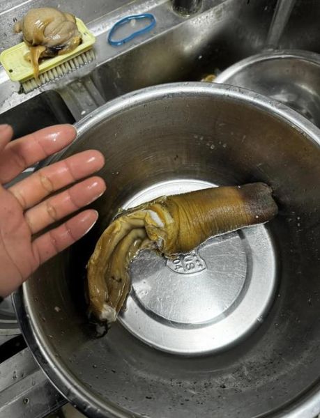 象拔蚌三吃怎么做_象拔蚌家常做法步骤-第2张图片-山城妙识