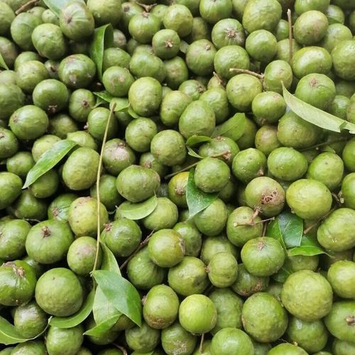 仁面果怎么腌制_仁面果腌制方法-第1张图片-山城妙识