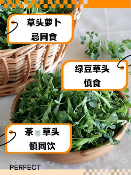 孕妇能不能吃草头_草头孕妇能吃吗-第3张图片-山城妙识 孕妇能不能吃草头_草头孕妇能吃吗-第3张图片-山城妙识