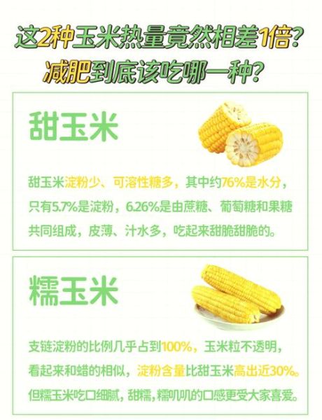 一天吃三个玉米会胖吗_玉米热量高吗-第1张图片-山城妙识