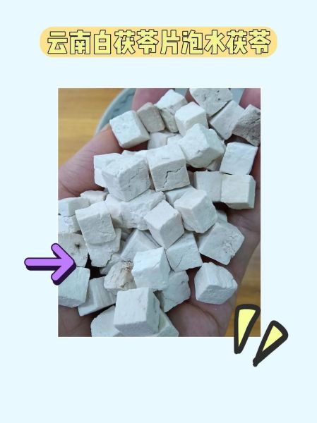 白茯苓的功效与作用及禁忌_白茯苓怎么吃效果最好-第3张图片-山城妙识