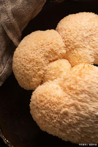 猴头菇泡了一夜能吃吗_猴头菇泡发时间-第1张图片-山城妙识