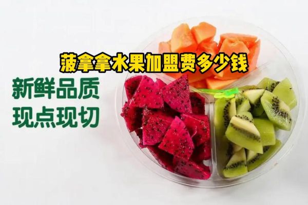 水果捞加盟多少钱_水果捞加盟费用明细-第3张图片-山城妙识