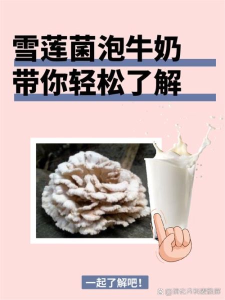 雪莲菌泡牛奶有什么危害_长期饮用副作用-第1张图片-山城妙识