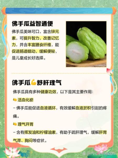 佛手瓜的功效与作用_佛手瓜的营养价值高吗-第2张图片-山城妙识 佛手瓜的功效与作用_佛手瓜的营养价值高吗-第2张图片-山城妙识