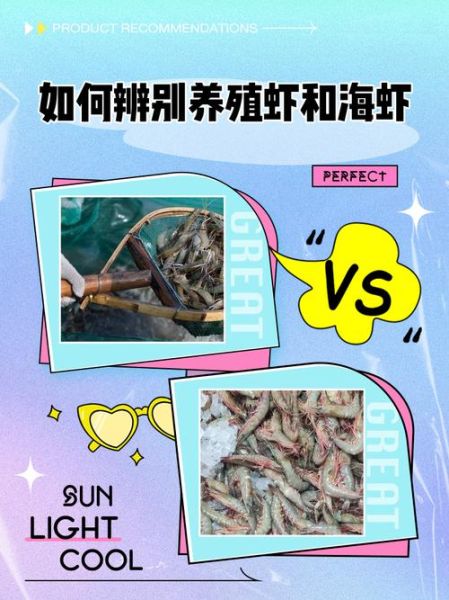 海虾和养殖虾怎么区别_野生海虾与养殖虾辨别方法-第1张图片-山城妙识