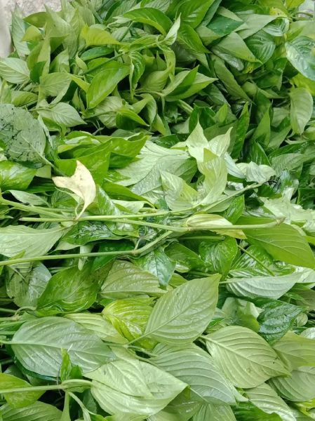 五色糯米饭用什么植物染料_怎么做不掉色-第1张图片-山城妙识