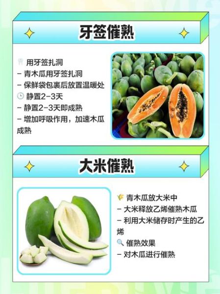 青木瓜怎么催熟最快_青木瓜催熟最快方法-第3张图片-山城妙识