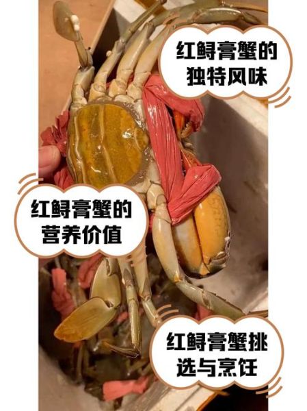 红膏蟹多少钱一斤_红膏蟹怎么挑选-第2张图片-山城妙识