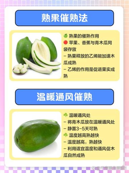 青木瓜怎么催熟最快_青木瓜催熟最快方法-第2张图片-山城妙识