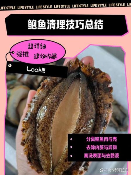 半夜洗鲍鱼会不会影响口感_鲍鱼清洗最佳时间-第1张图片-山城妙识