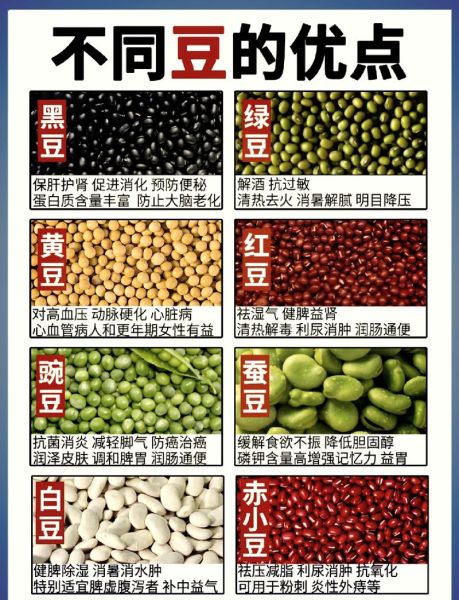 豆类名称大全_100种豆类图片怎么认-第1张图片-山城妙识