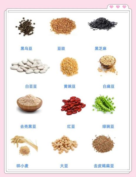 豆类名称大全_100种豆类图片怎么认-第2张图片-山城妙识