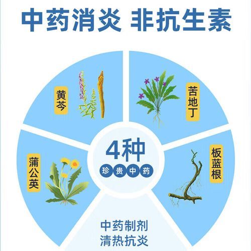扁桃体发炎吃什么药最好_扁桃体发炎最有效的药-第2张图片-山城妙识