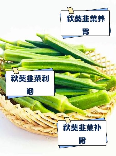 秋葵和韭菜哪个壮阳_秋葵壮阳还是韭菜壮阳-第1张图片-山城妙识