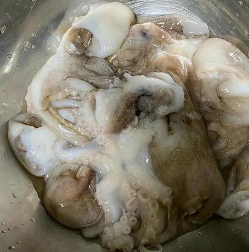 新鲜八爪鱼怎么处理_新鲜八爪鱼怎么做才嫩-第1张图片-山城妙识