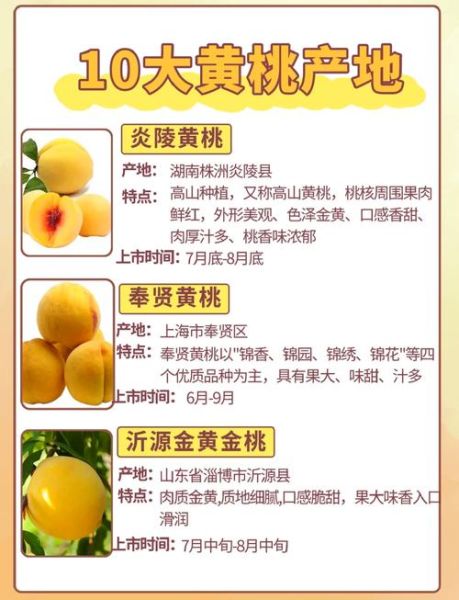 黄桃什么人不能吃_黄桃禁忌人群有哪些-第2张图片-山城妙识