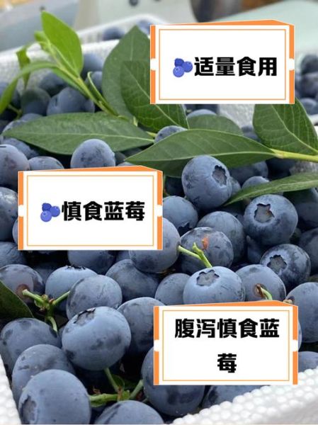 小孩吃蓝莓的禁忌_宝宝多大能吃蓝莓-第3张图片-山城妙识