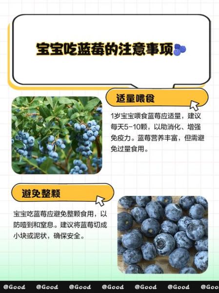 小孩吃蓝莓的禁忌_宝宝多大能吃蓝莓-第1张图片-山城妙识