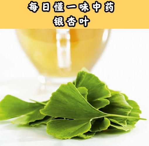 银杏叶片能长期吃吗_长期吃银杏叶片安全吗-第3张图片-山城妙识