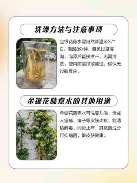 金银花露海棠水泄不通怎么办_如何缓解-第2张图片-山城妙识