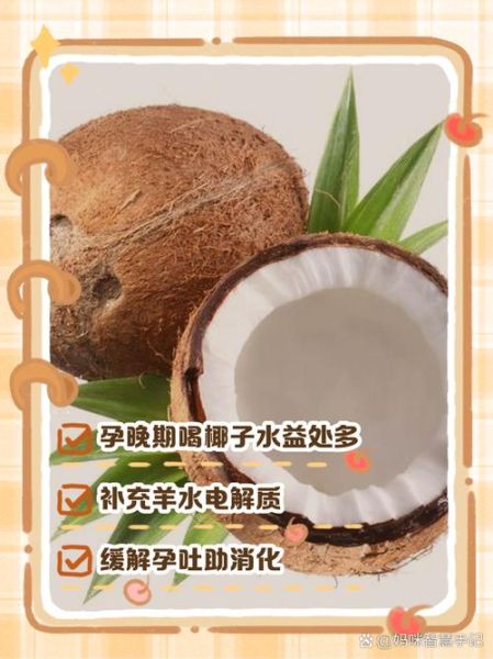 孕妇一天喝一个椰子可以吗_椰子水对胎儿影响-第1张图片-山城妙识