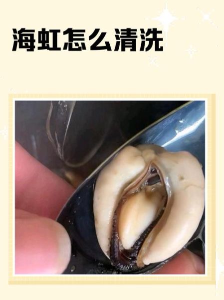 海虹怎么清洗_海虹怎么保存-第1张图片-山城妙识