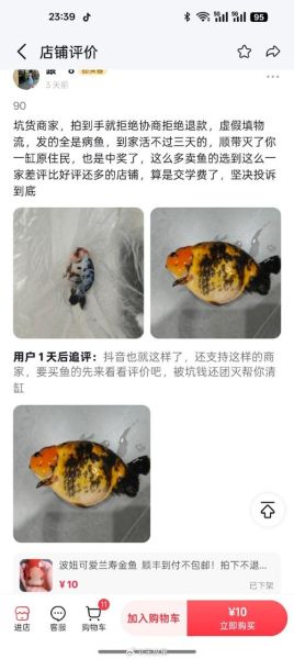 金龙鱼地沟油事件真相_记者惨死原因-第1张图片-山城妙识