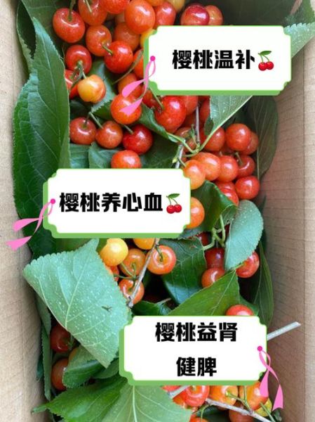 樱桃是热性还是凉性_吃樱桃会上火吗-第3张图片-山城妙识