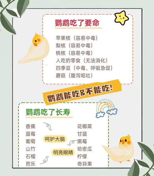 鹦鹉怎么养_鹦鹉吃什么-第3张图片-山城妙识 鹦鹉怎么养_鹦鹉吃什么-第3张图片-山城妙识