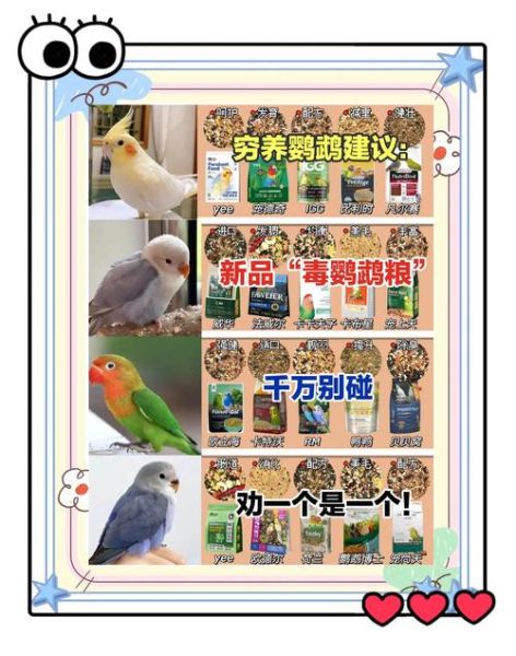 鹦鹉怎么养_鹦鹉吃什么-第1张图片-山城妙识 鹦鹉怎么养_鹦鹉吃什么-第1张图片-山城妙识