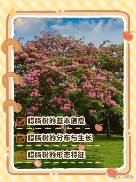 香肠树app怎么赚钱_香肠树app靠谱吗-第2张图片-山城妙识