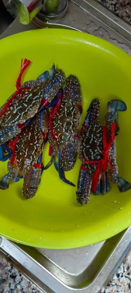 花蟹死了多久不能吃_如何判断花蟹是否变质-第3张图片-山城妙识