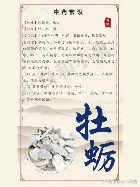 牡蛎的功效与作用及禁忌症_什么人不能吃牡蛎-第3张图片-山城妙识