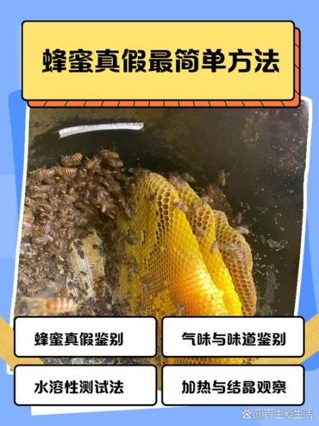 蜂蜜图片大全大图真实_如何辨别真假蜂蜜-第2张图片-山城妙识