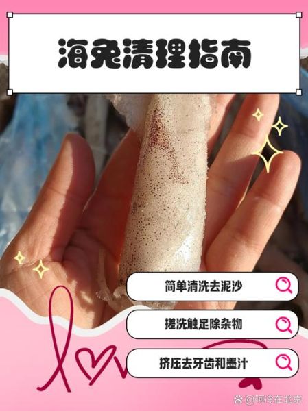 海兔子怎么清洗_海兔子清洗方法-第1张图片-山城妙识