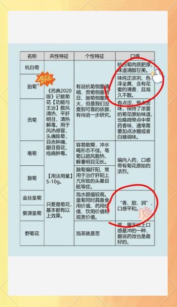 菊花茶种类有哪些_菊花茶功效与作用-第1张图片-山城妙识