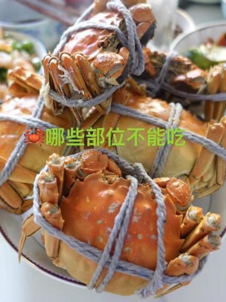 螃蟹都吃哪里的肉_螃蟹哪些部位不能吃-第3张图片-山城妙识