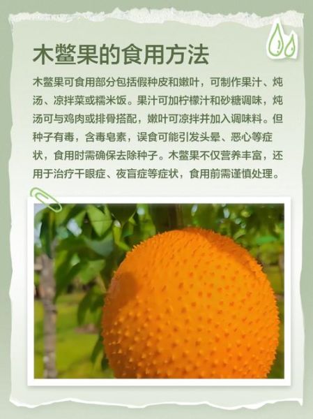 木鳖果怎么吃_木鳖果的正确吃法-第2张图片-山城妙识 木鳖果怎么吃_木鳖果的正确吃法-第2张图片-山城妙识