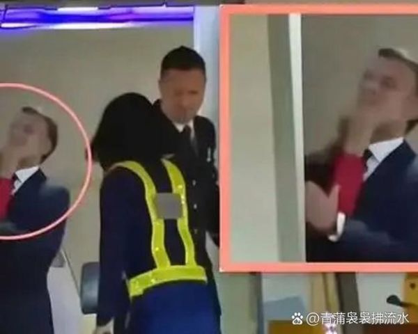 马克龙被扇耳光事件原因_法国总统安保漏洞-第3张图片-山城妙识 马克龙被扇耳光事件原因_法国总统安保漏洞-第3张图片-山城妙识
