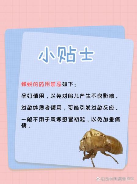 蝉蜕的功效与作用及禁忌_蝉蜕副作用有哪些-第3张图片-山城妙识