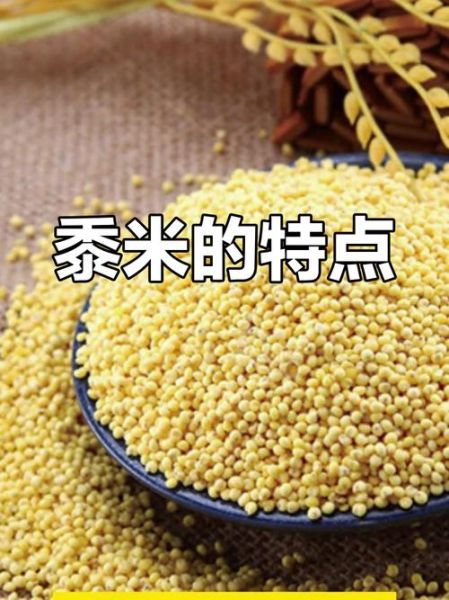 黍米的功效与作用_黍米适合什么人吃-第3张图片-山城妙识