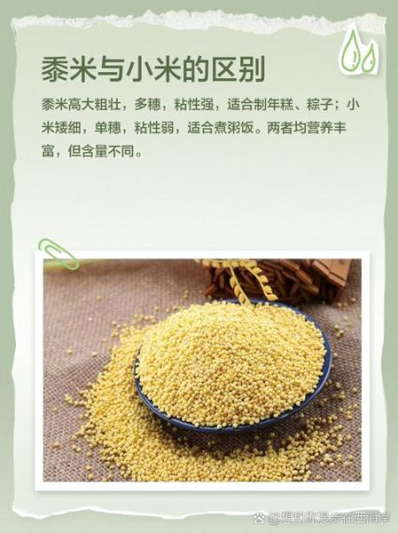 黍米的功效与作用_黍米适合什么人吃-第2张图片-山城妙识